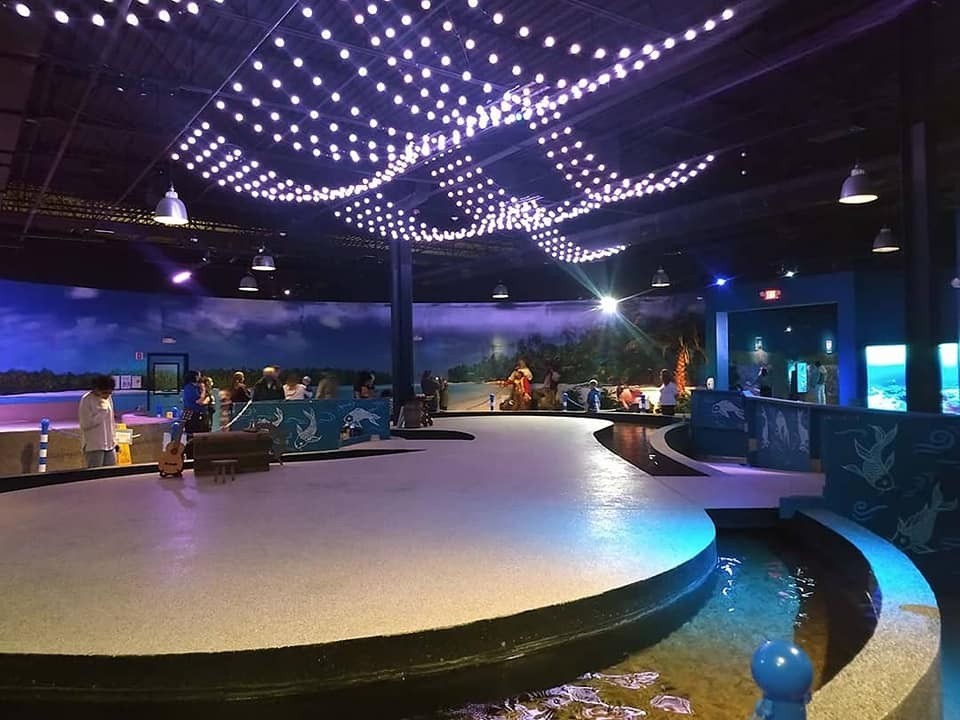 VIA Aquarium Schenectady NY
